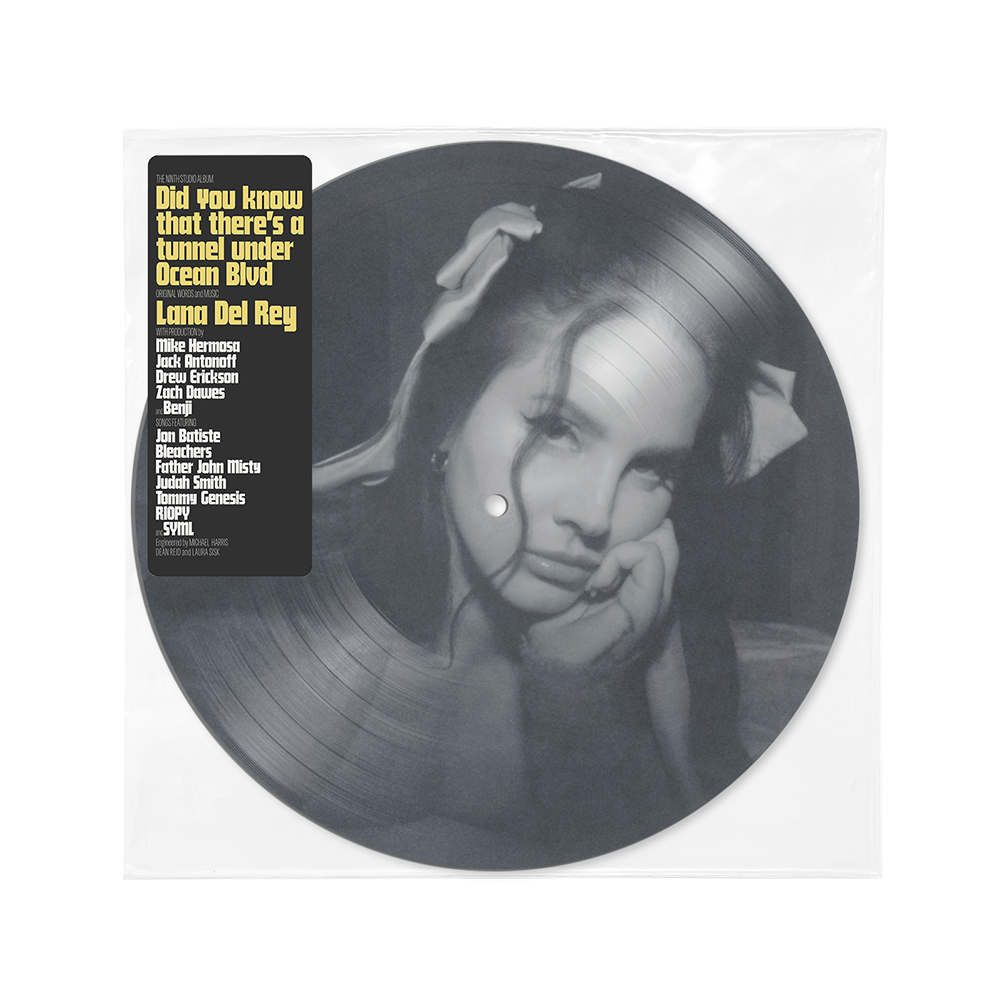 DID YOU KNOW THAT THERE S A TUNNEL UNDER OCEAN BLVD DOUBLE VINYLE PICT did-you-know-that-there-s-a-tunnel-under-ocean-blvd-double-vinyle-pict